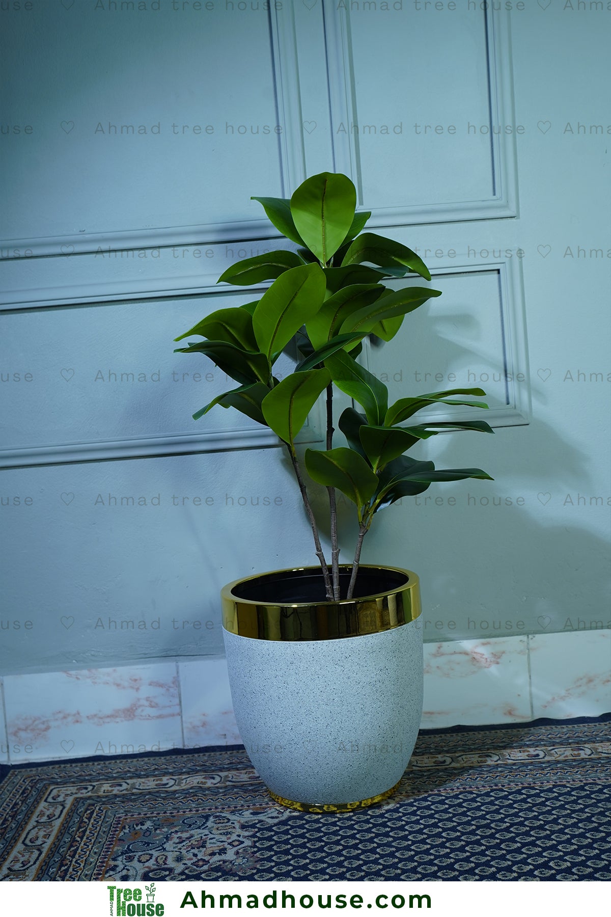 Bot pata with premium vase – Ahmad Tree House